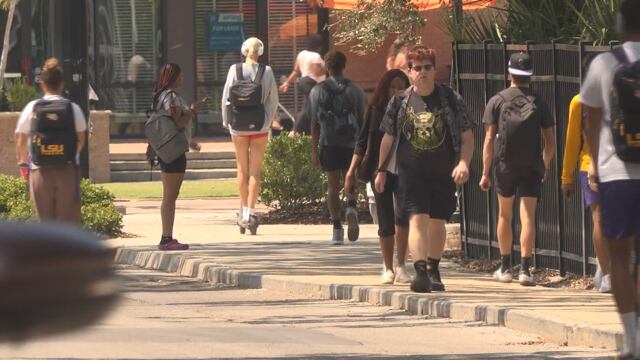 LSU students face mounting AI cheating allegations