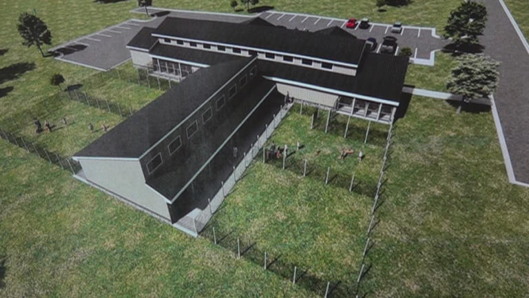 Joint animal shelter proposed following Martinsville shelter fire