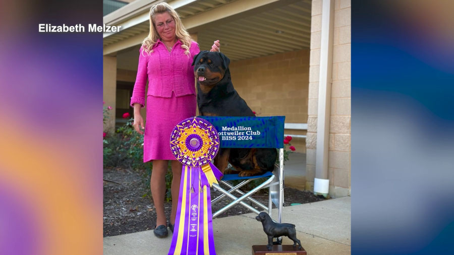 Peabody is home to some of the best dog breeders in the country