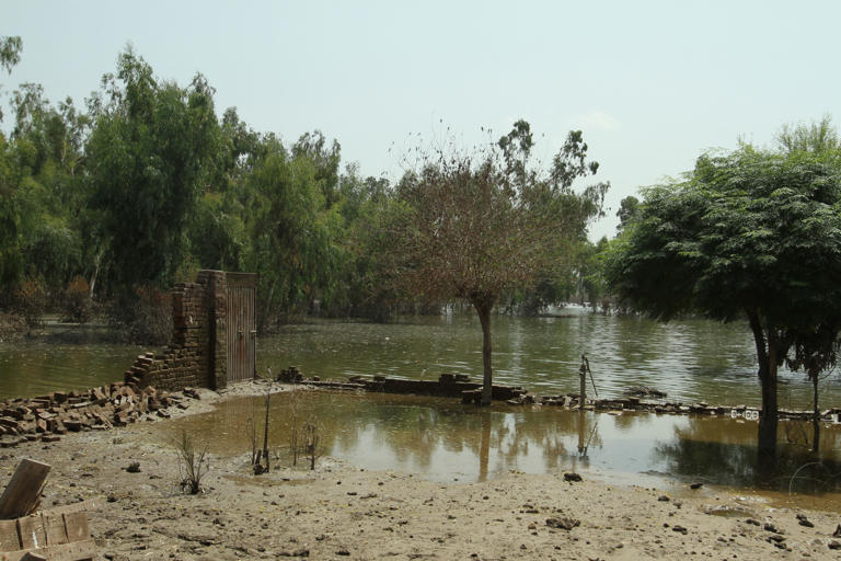 Earth saw third-warmest year in 2025, surpassing 1.5°C warming for ...