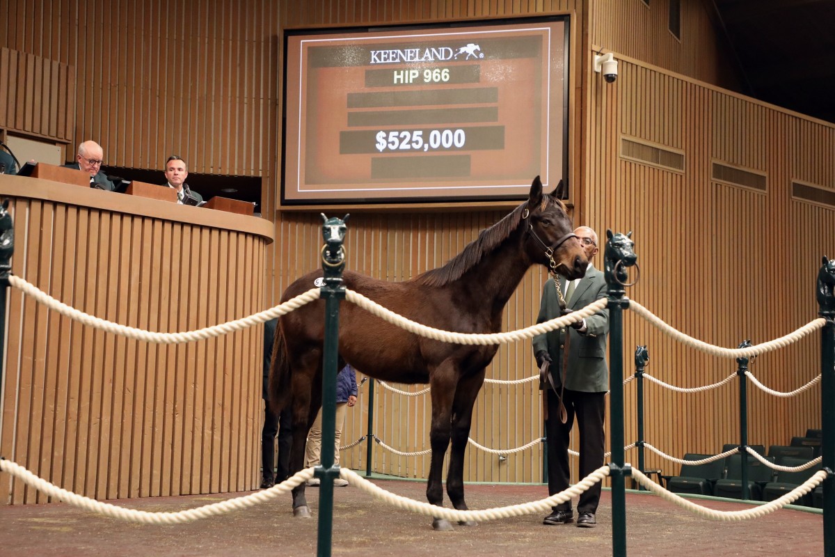 'The market never had enough': Gross sales exceed $53 million for two ...