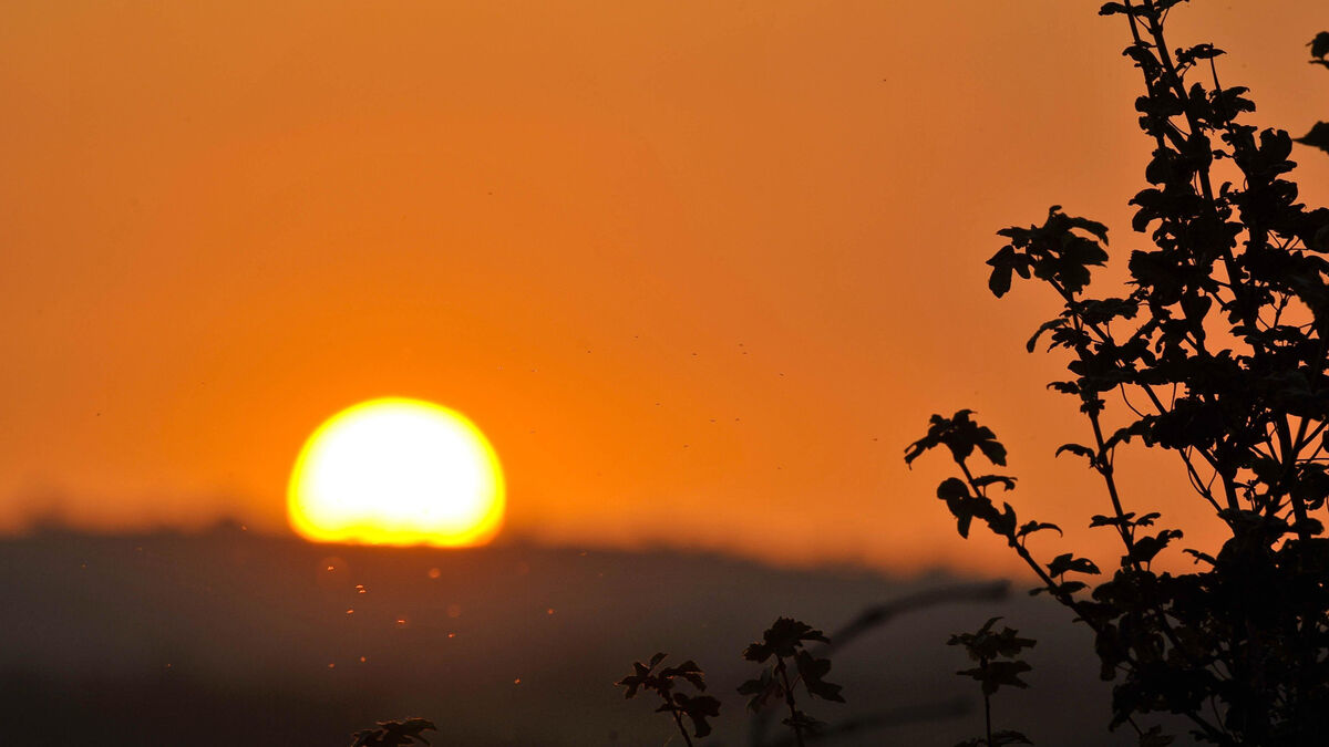 Scientists confirm 2025 as third-hottest year on record