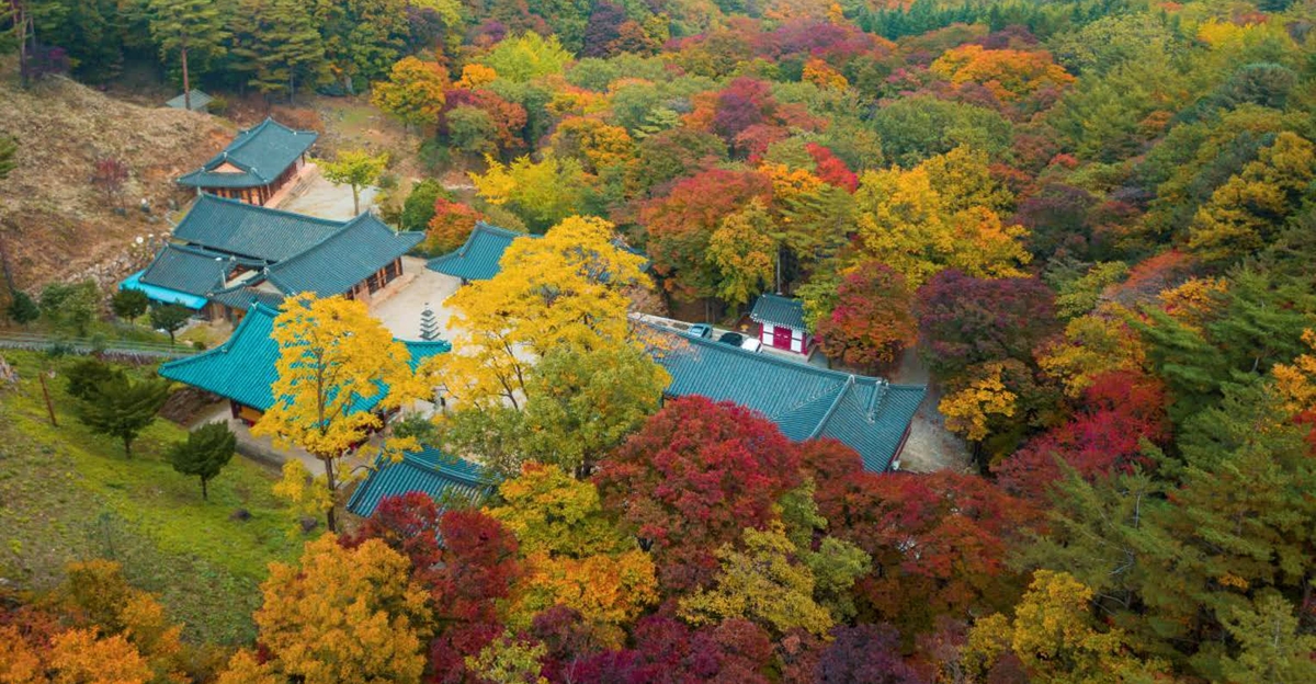 입장료 무료인데 안 가면 손해… CNN이 극찬한 '한국 사찰' 3곳
