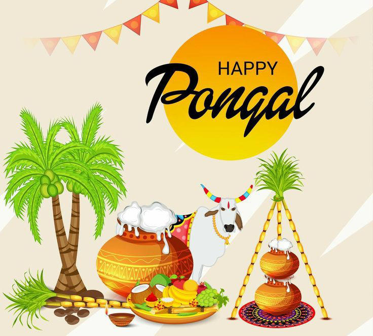 Happy Pongal 2026: Top wishes, messages, and images in English, Tamil ...