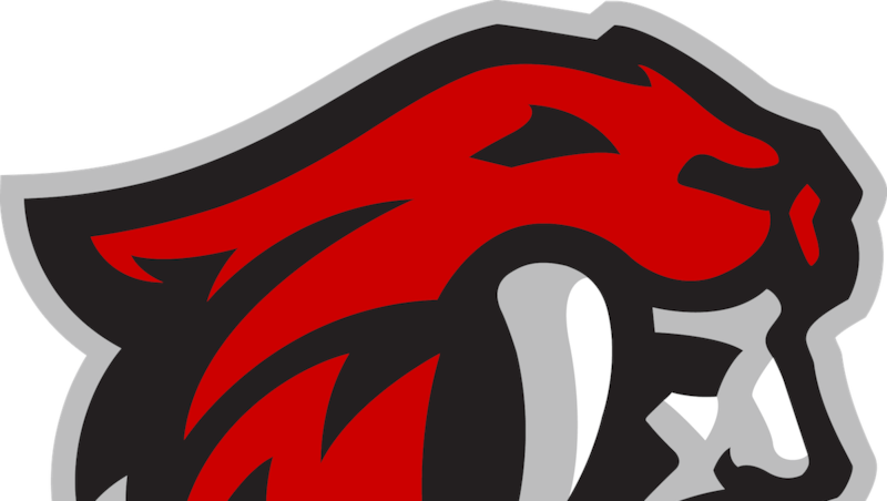 High school boys basketball: American Fork cleanly defends home against ...