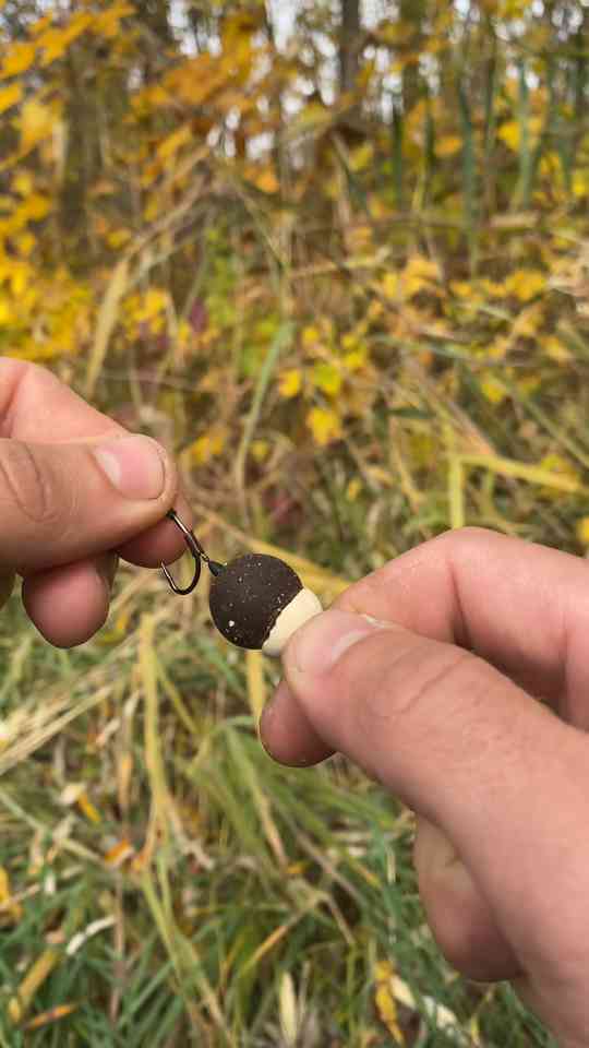 Best carp rig montage | Easy setup for big carp fishing