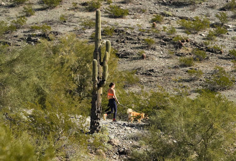 Phoenix weather to stay near the 80s as warm stretch continues