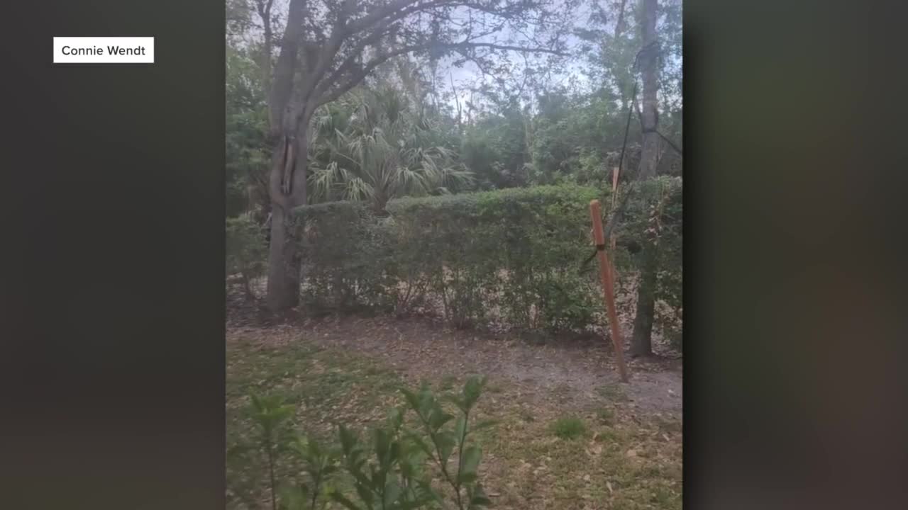 'Woke up to a warzone:' Charlotte County homeowners push back against ...