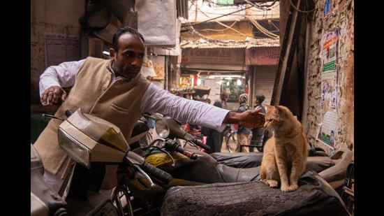 Review: The master of unfinished things by Geet Chaturvedi