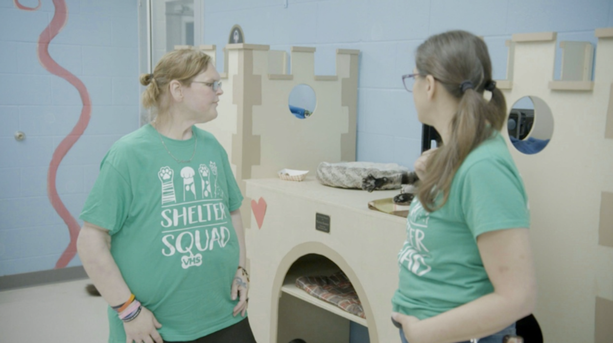 Another weight loss surgery and a wedding bombshell: Spoilers from ...