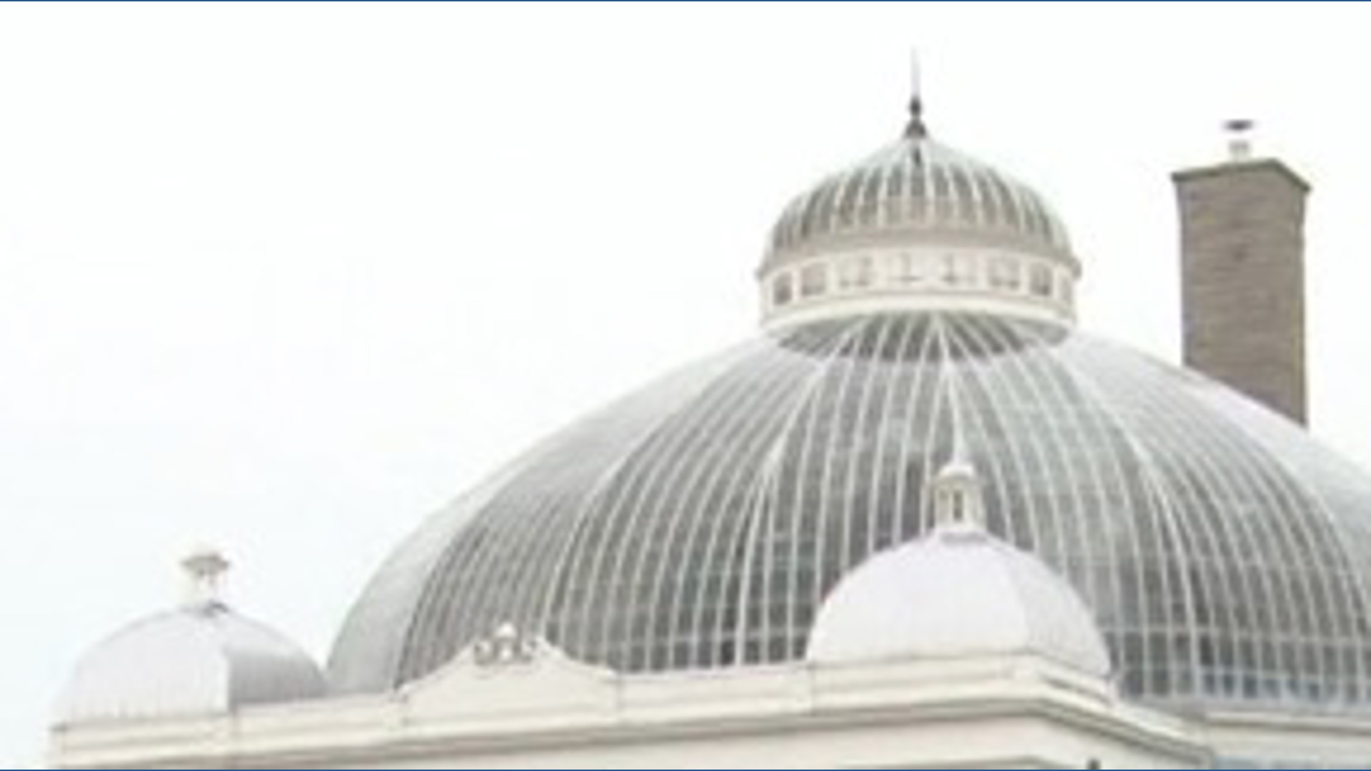 Buffalo Botanical Gardens opening new event space