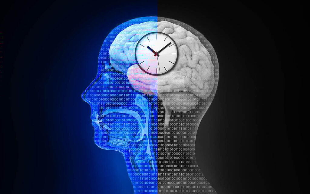 New study shows that female sex hormones can impact the body’s inner clocks