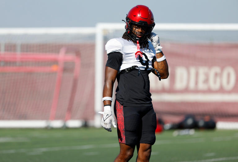 SDSU starting safety Dalesean Staley withdraws from transfer portal ...
