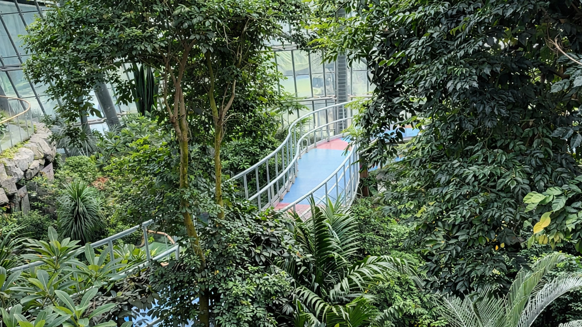 A Forest Built Inside a Building China