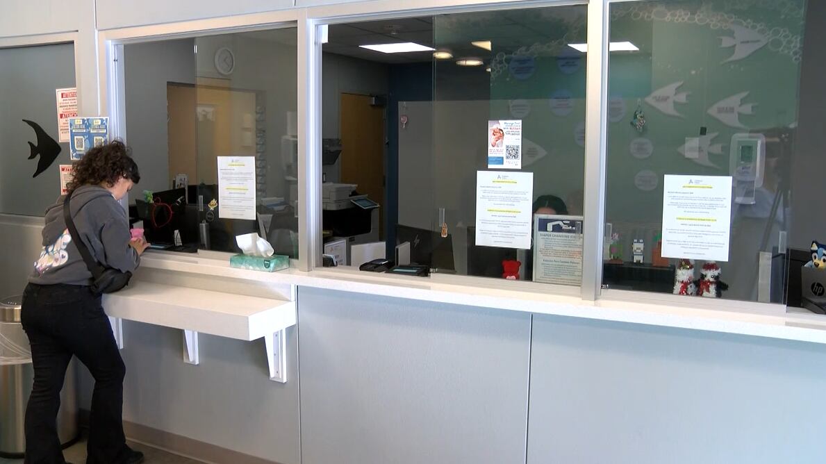 Nearly $1 million in grants awarded to Arizona non-profits