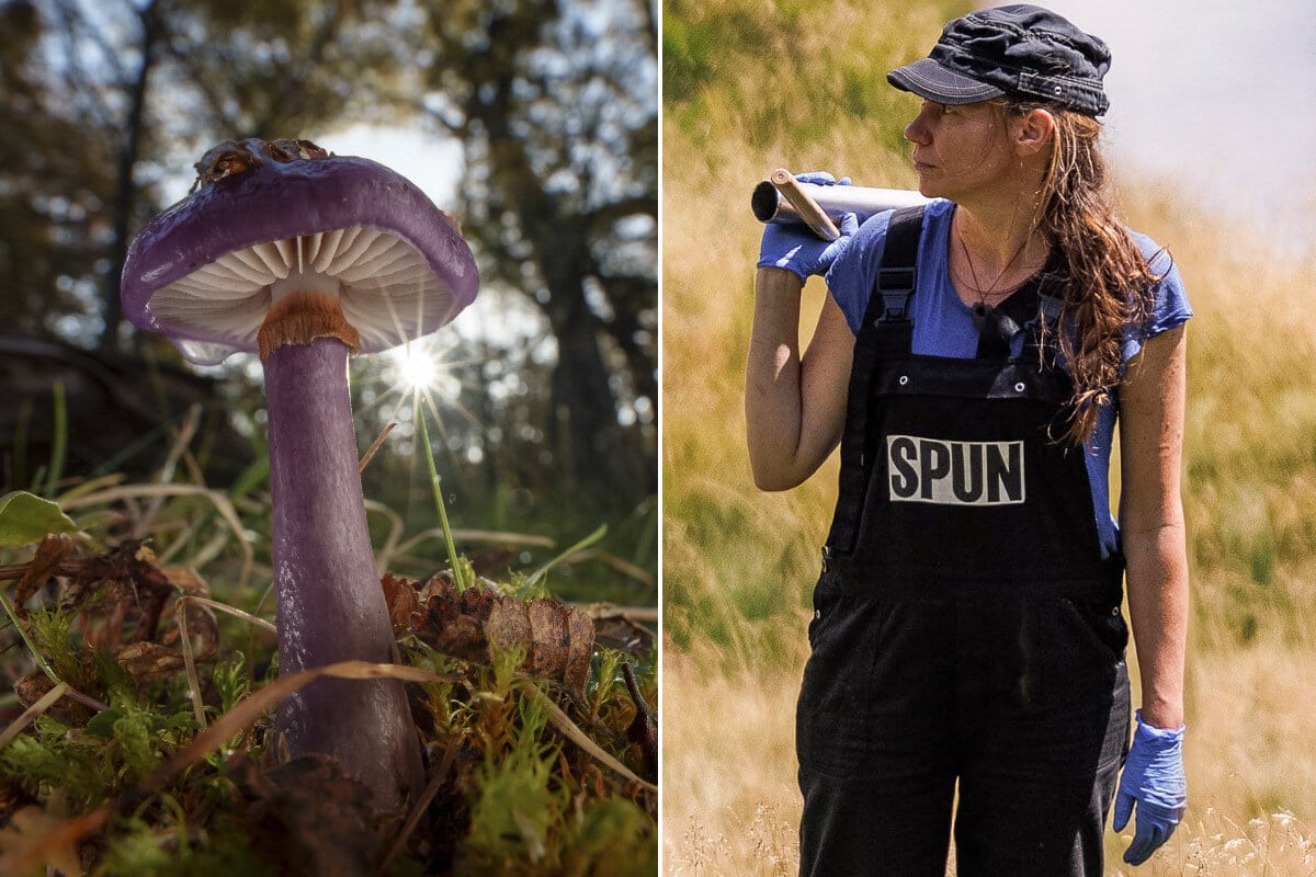 American scientist wins "Environment Nobel" for shedding light on ...