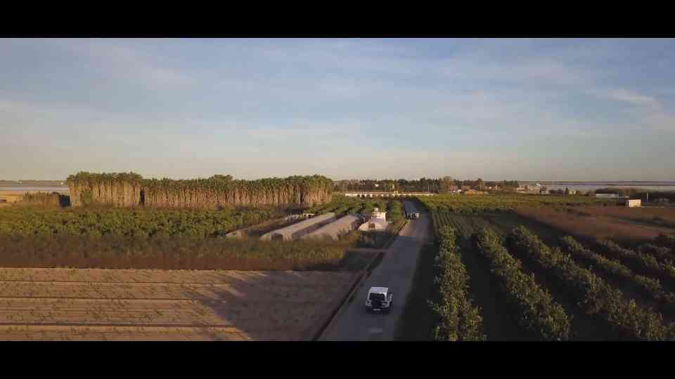 Her jaw was shattered, her hope was gone until we found her