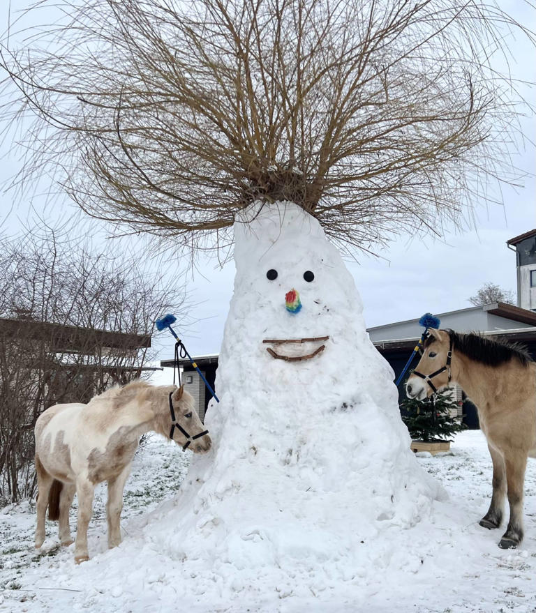 Schneemann-Challenge: Die ersten Fotos unserer Leser sind da