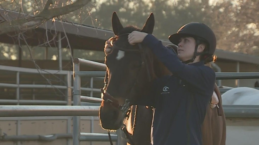 UC Davis Division I equestrian team demoted to club, student-athletes ...