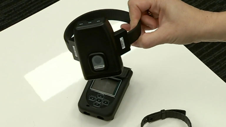 Kids young as 10 to be fitted with ankle monitors in Queensland