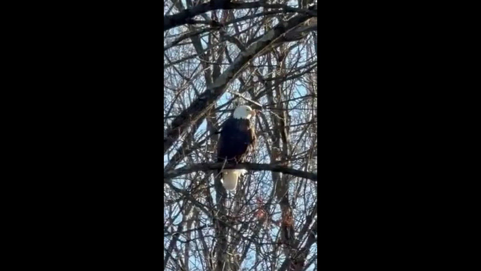 Just hanging out waiting for wildlife Wednesday Just hanging out ...