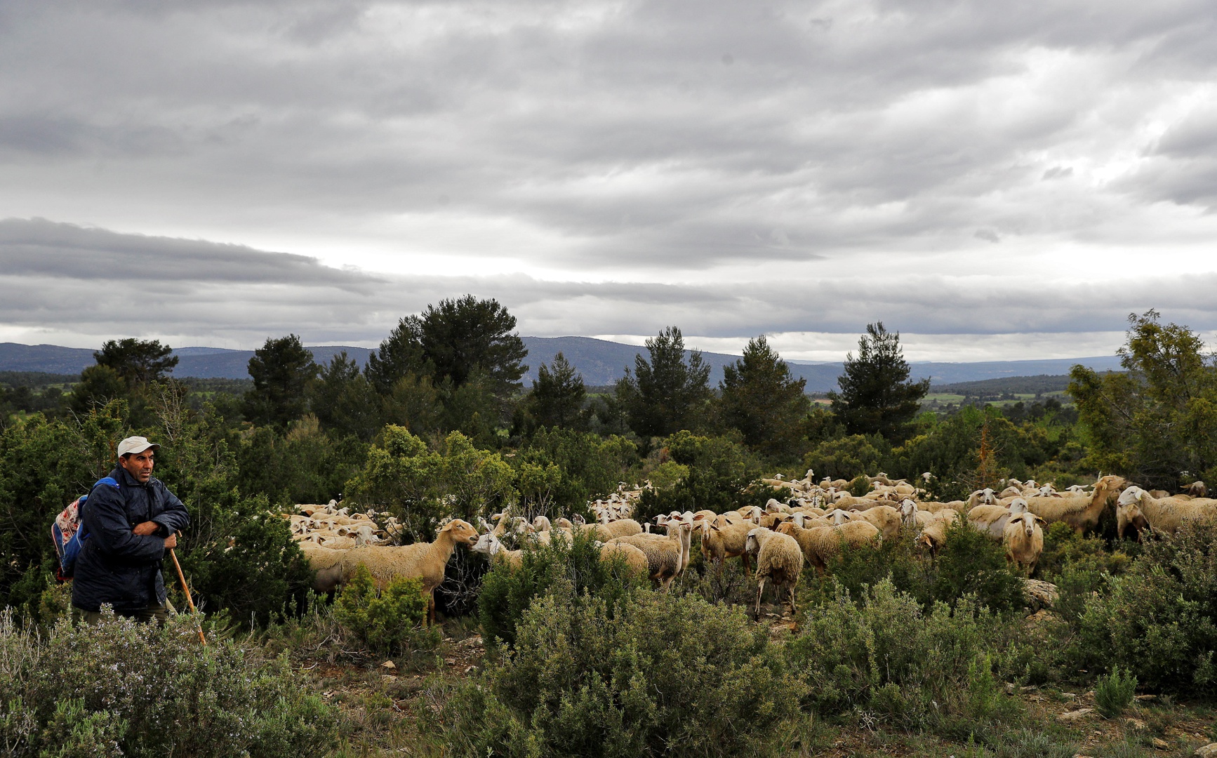 Calendario ambiental 2026: un año repleto de fechas para el medioambiente