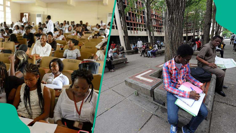 See exact amount universities, polytechnics, colleges will get in 2026