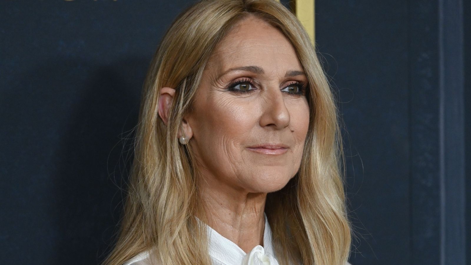 Céline Dion porte la tendance pull star de l'hiver : elle rajeunit ...