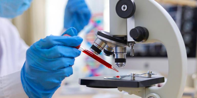 Ce test sanguin prometteur pourrait identifier la maladie de Crohn bien ...