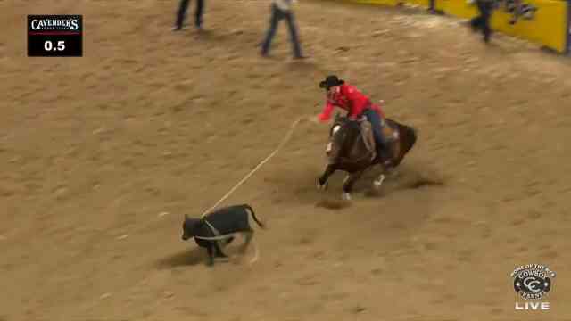 How Shad Mayfield stayed alive in the gold buckle race