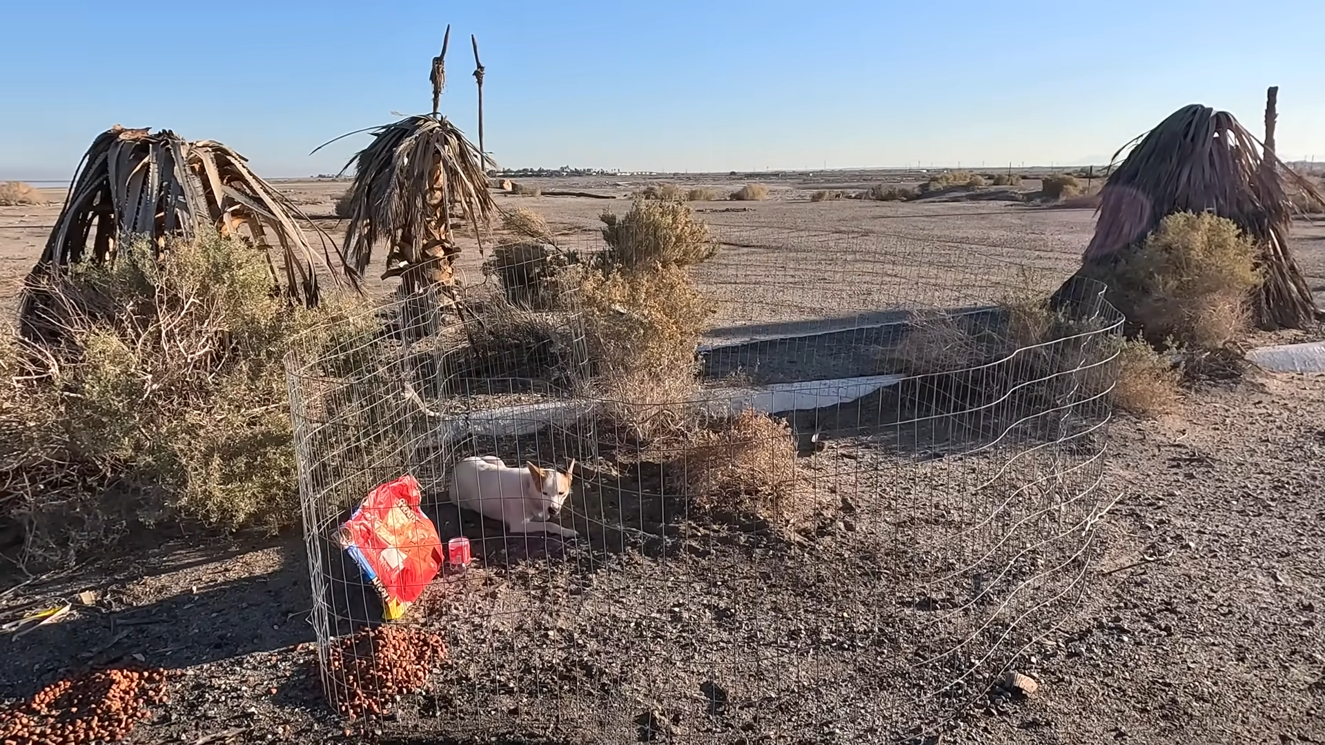 It's out there somewhere - searching for California's lost ship
