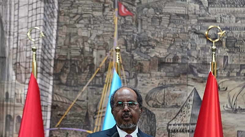 Somalia cancels UAE agreements over sovereignty concerns