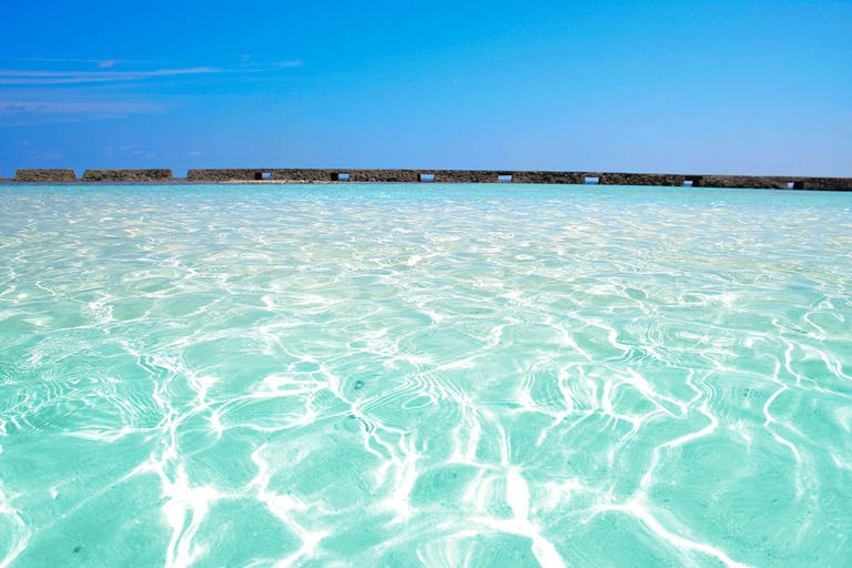 Retired couple dies 3 days apart after 'tragic' scuba diving accident ...