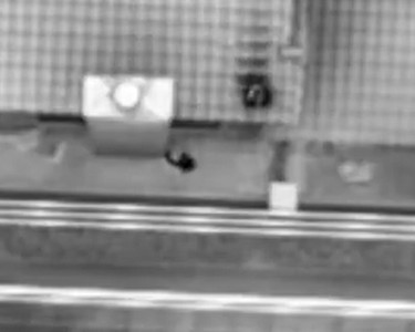 Missing child found thanks to drone thermal camera: footage