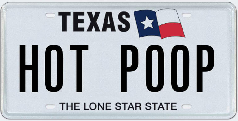 D3N1ED: 52 custom Texas license plates rejected by the DMV in 2025