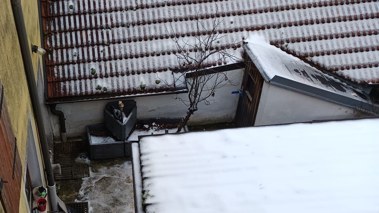 In diesem Keller versteckte Killer seine tote Freundin