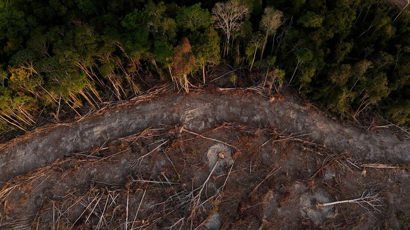 Analysis-global grain traders' green pledges face skepticism as deal to ...