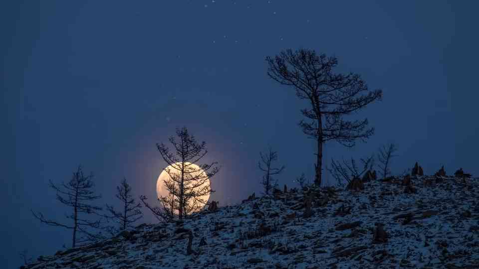 5 mind bending optical illusions you won’t believe