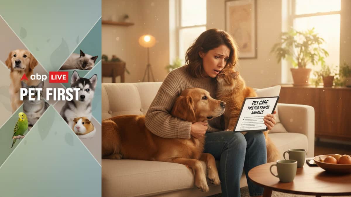 ABP Live Pet First | 7 dangerous pet care myths you must stop believing ...