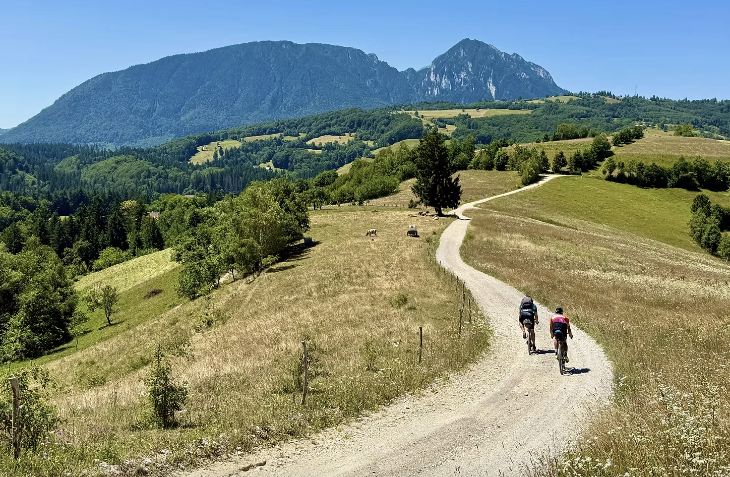 Vergeet de vampiers: is het land van Dracula stiekem het nieuwe Toscane ...