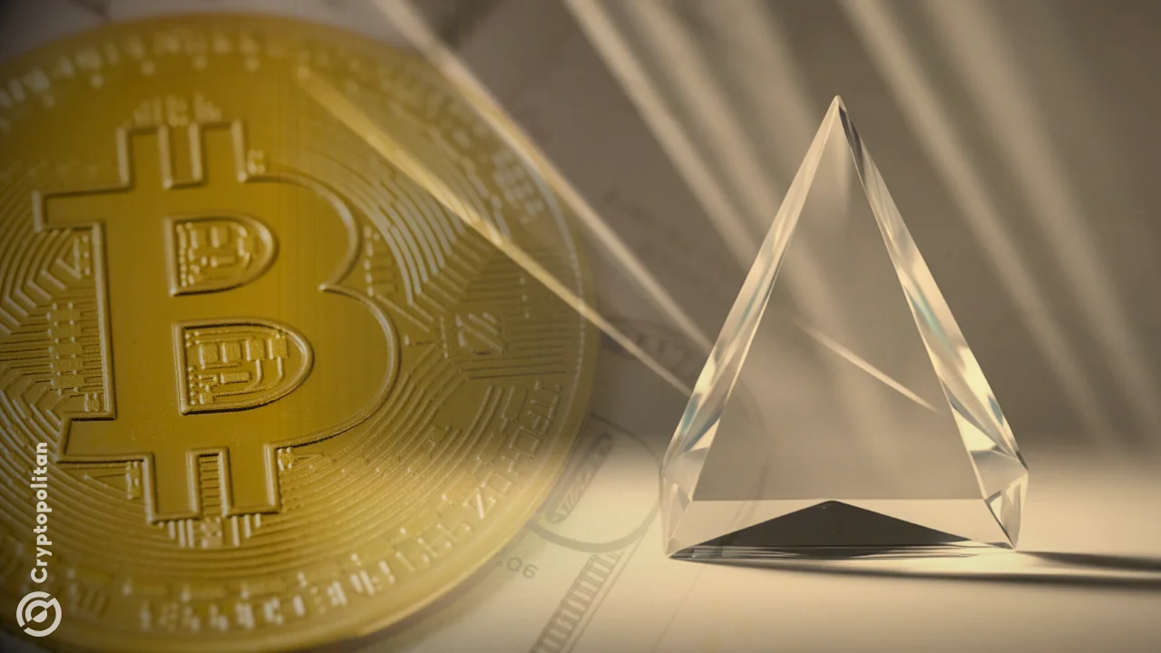 Pyramid schemes promoted as crypto brokers fold with almost $13M of ...