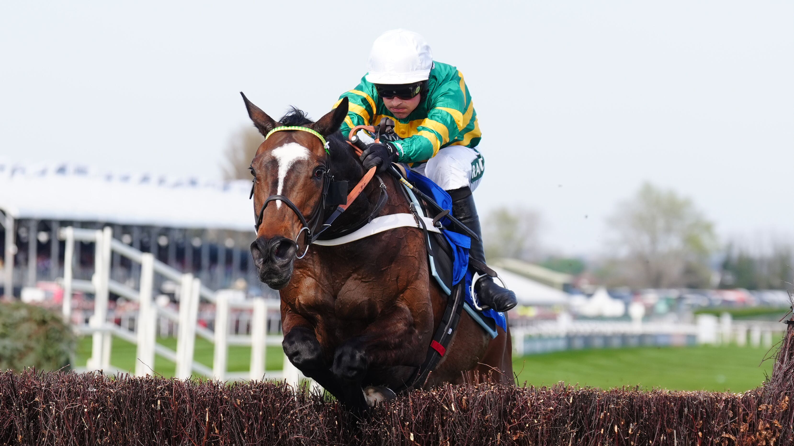 Harry Cobden confirmed for Jonbon Ascot ride