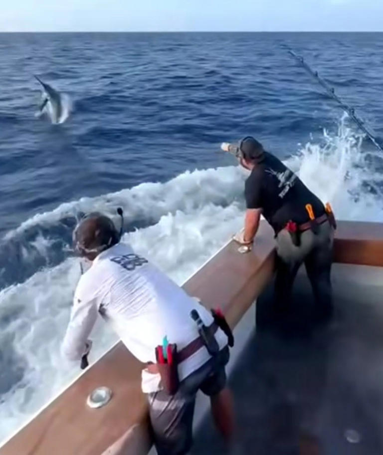 Destin's Team Supreme reel in 84 marlin for record in 2025