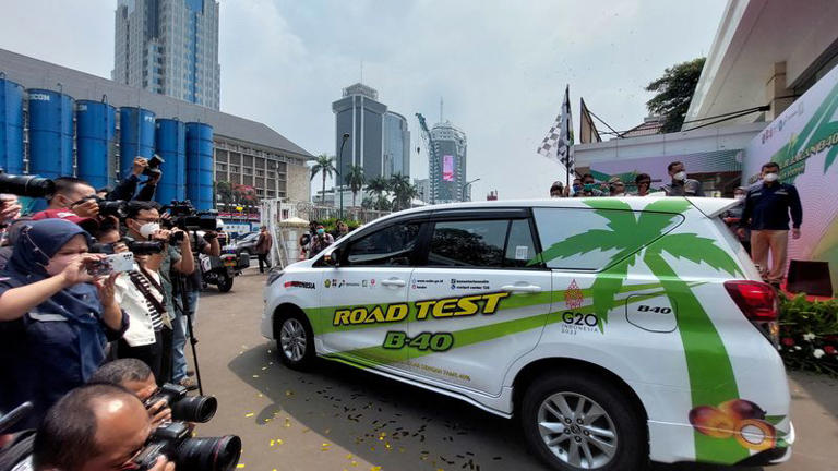 Indonesia scraps plan to introduce B50 biodiesel this year, will raise ...