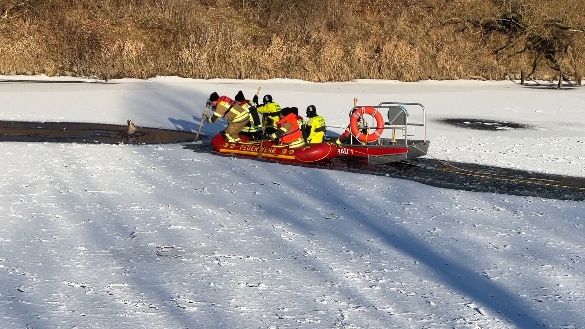 Nach Rehtötung: Jagdpächter im Visier der Behörden