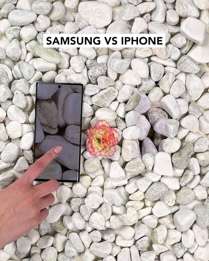 The difference between a Samsung and iPhone camera