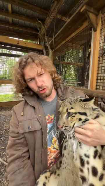 Clouded leopard cuddles!