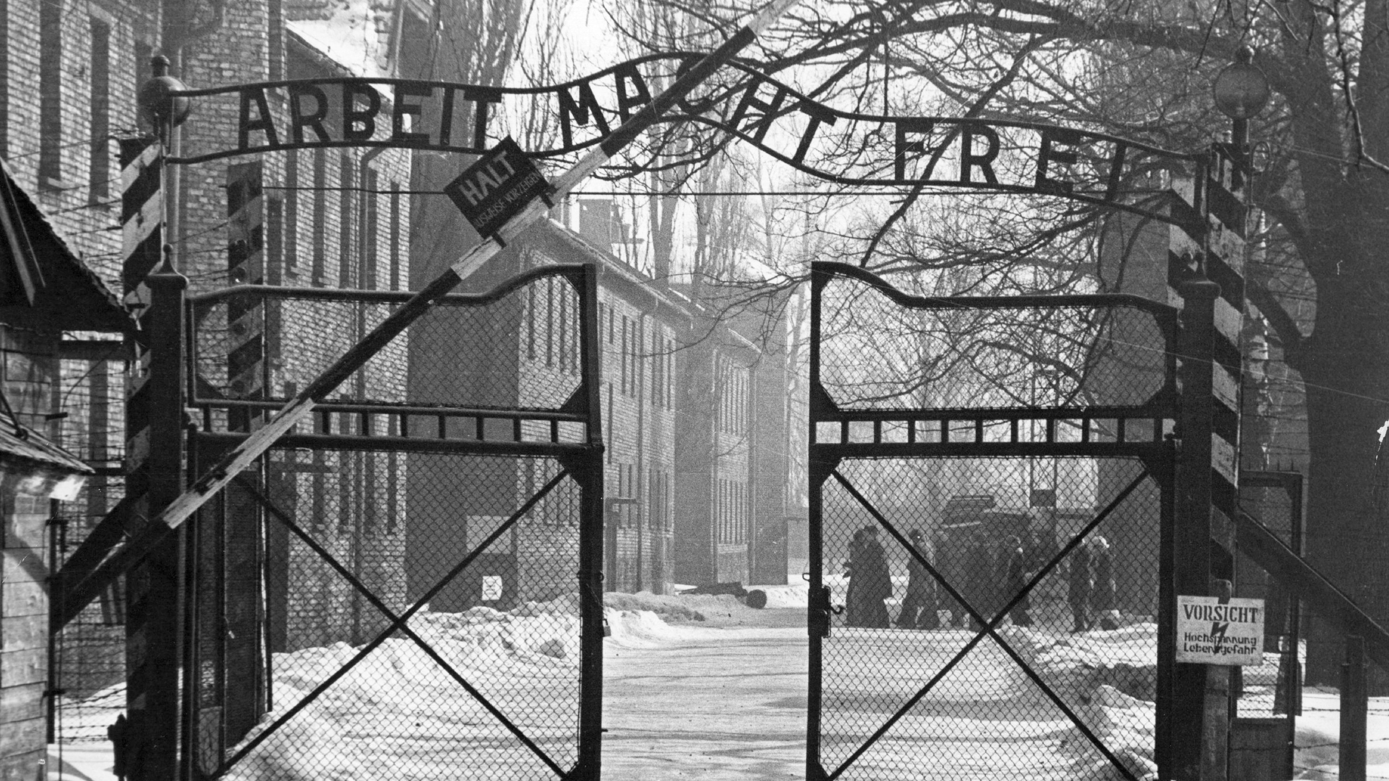Why Holocaust remembrance matters as history is rewritten and ...