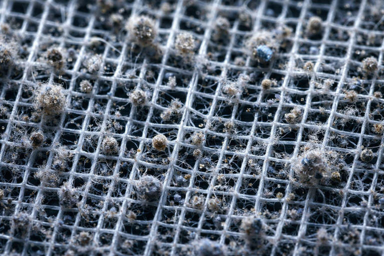 Purificateurs d’air : véritable allié santé ou simple gadget ? La ...