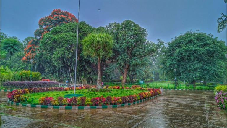 Lalbagh blooms with stories of writer P Tejaswi for its 2026 flower ...